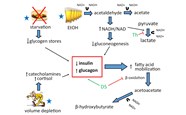 Alcoholic Ketoacidosis Mind The Gap Give Patients What They Need EMRA